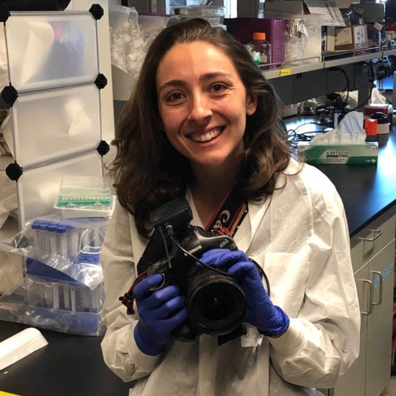 Morris joins NY Times as a reporter - Talking Biz News